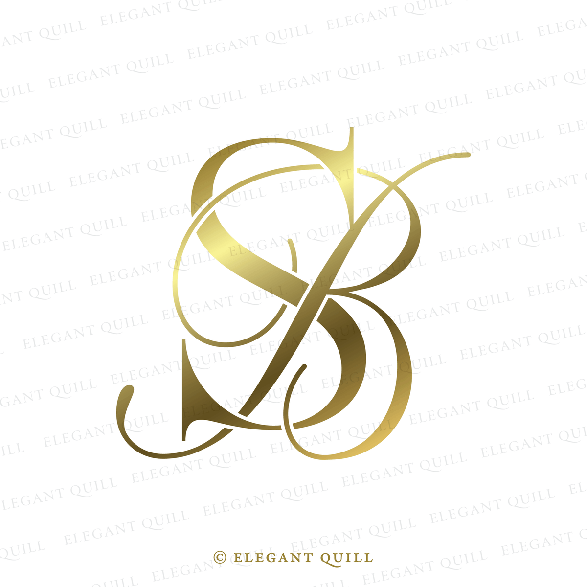 2 Letter Logo Design, BS Initials – Elegant Quill