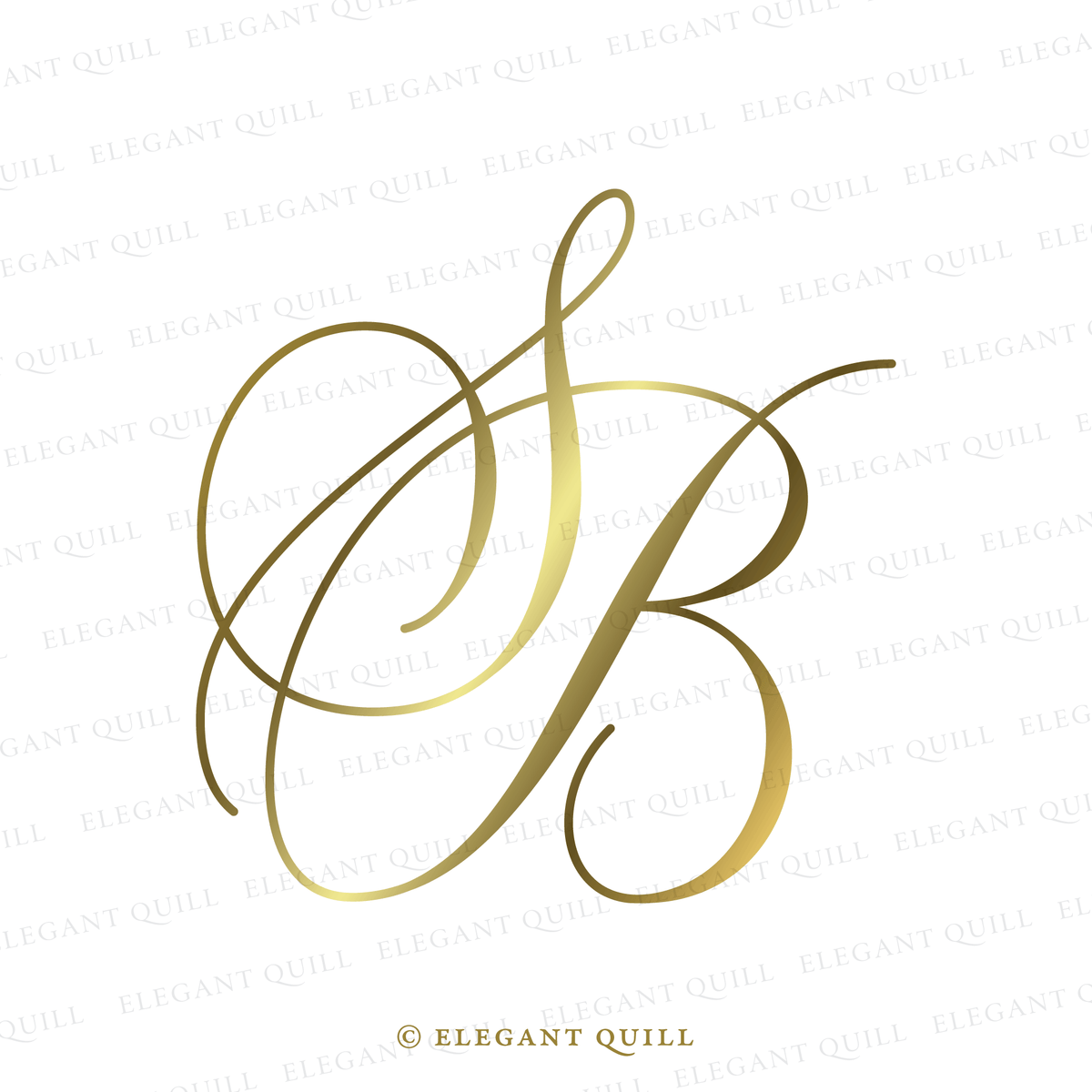 Elegant Logo, BS Initials – Elegant Quill